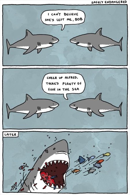 Shark's Version of Eating Your Feelings - Web Comics - 4koma comic ...