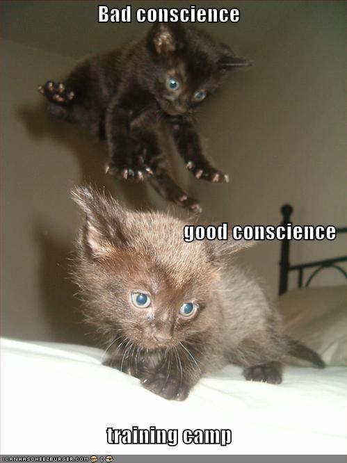 Conscience Memes
