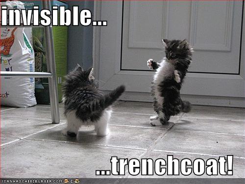 invisible... ...trenchcoat! - Cheezburger - Funny Memes | Funny Pictures