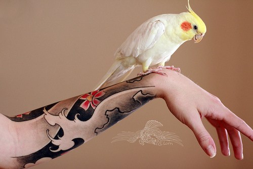 Daily Squee - Page 3 - Cute Animals in the Cutest Pictures Ever and ...