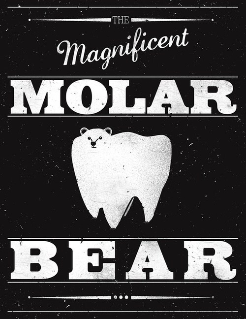 Puns - molar - Funny Puns - Pun Pictures - Cheezburger