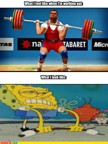 Memebase - do you even lift - Page 4 - All Your Memes In Our Base ...