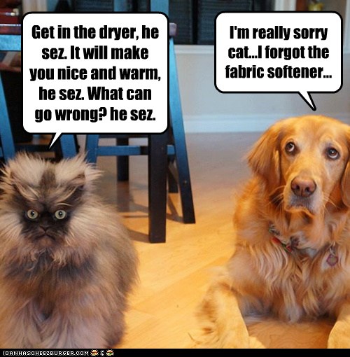 Now I'll be Static-y for Days! - Lolcats - lol | cat memes | funny cats ...