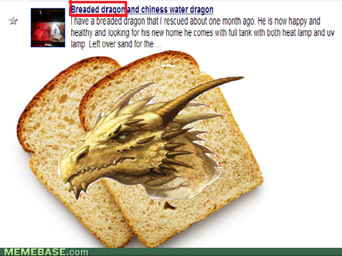 Sourdough or Spicy Herb Loaf? - Memebase - Funny Memes