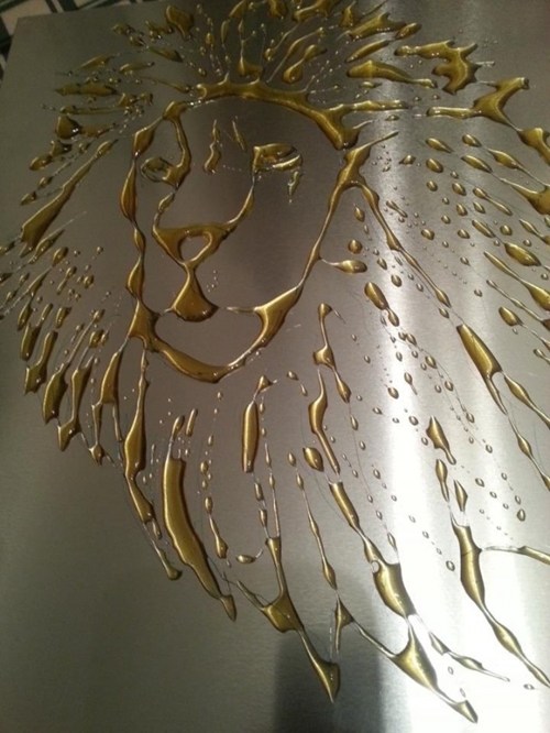 Syrup Portrait WIN - WIN! - epic win photos