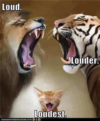 Loud. Louder. Loudest. - Lolcats - lol | cat memes | funny cats | funny ...