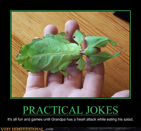 PRACTICAL JOKES - Very Demotivational - Demotivational Posters | Very ...