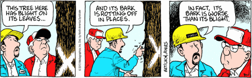 Puns - bark - Funny Puns - Pun Pictures - Cheezburger