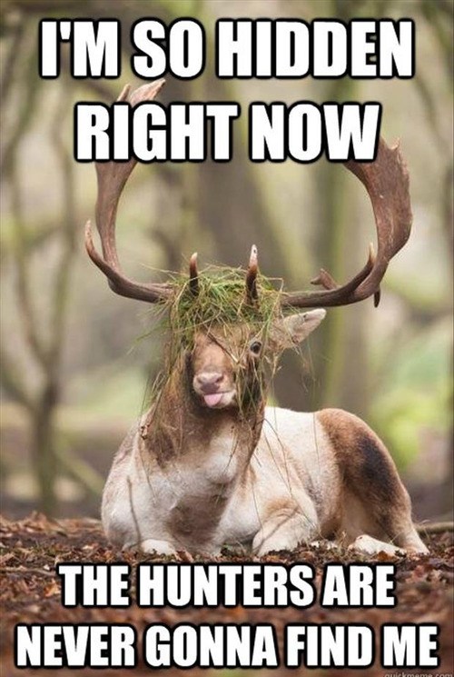 Memebase - deer - Page 8 - All Your Memes In Our Base - Funny Memes ...