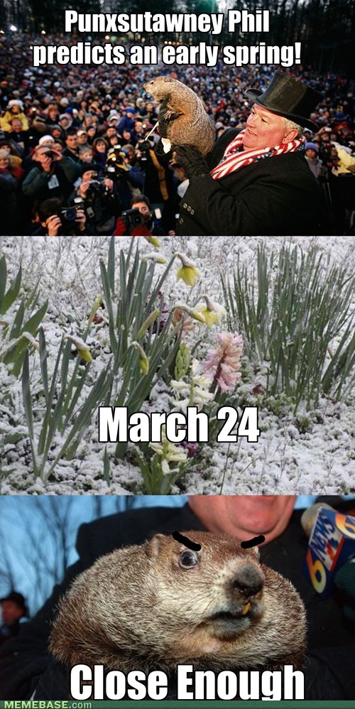 Memebase - groundhog day - All Your Memes In Our Base - Funny Memes ...