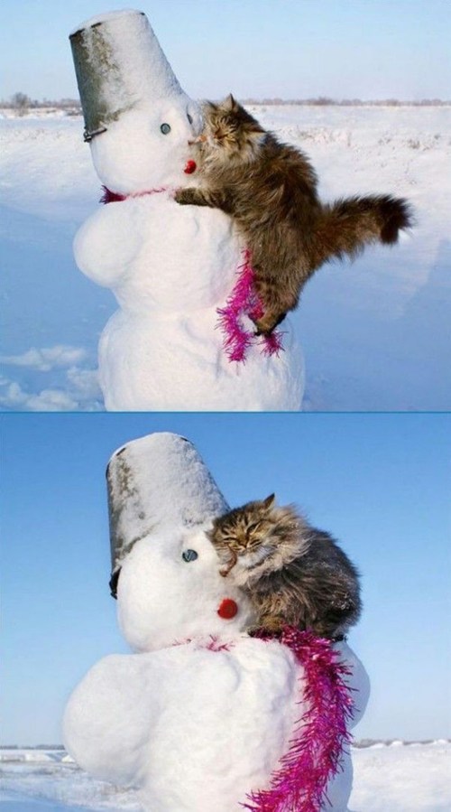 You're My Best Friend, Snowman - Daily Squee - Cute Animals - Cute Baby ...