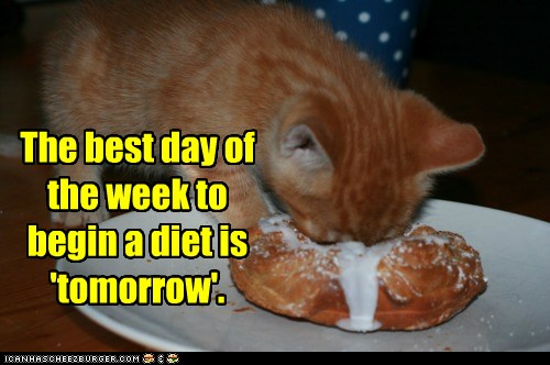 April is Bad Advice Month - Lolcats - lol | cat memes | funny cats ...
