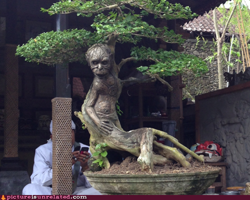 Tree Demon - Picture Is Unrelated - Funny Picture | Funny Video | WTF ...