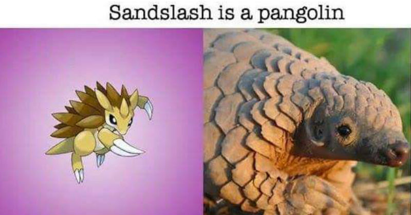 15 Awesome IRL Inspirations For Eye-Catching Pokémon - FAIL Blog ...