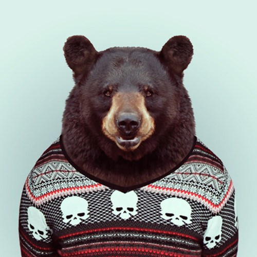 Poorly Dressed - animals in clothes - fashion fail - Cheezburger