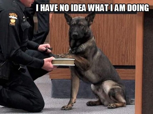 I Solemnly Swear That I'm Up to No Good? - Memebase - Funny Memes