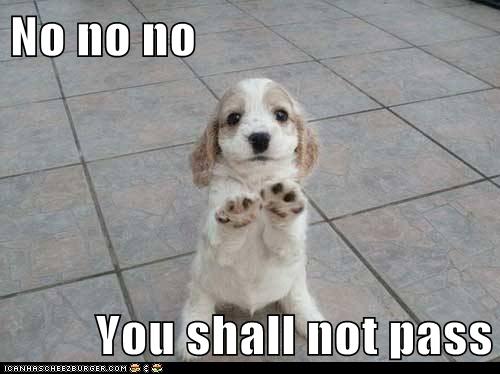 Stop, Please! - I Has A Hotdog - Dog Pictures - Funny pictures of dogs ...