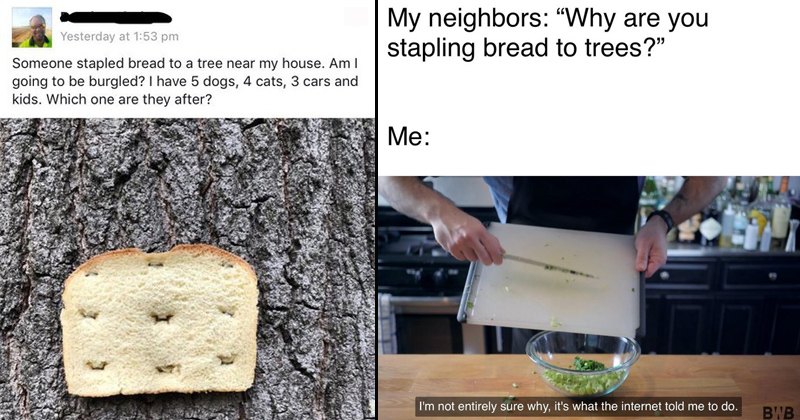 'Bread Stapled To Trees' Is The Stupidest Thing You'll Ever See On The ...