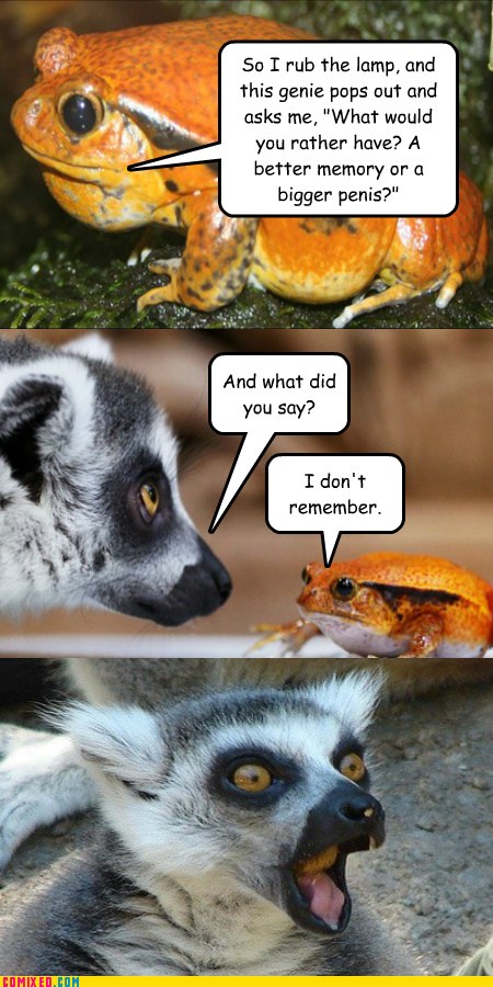 Genie And The Frog - Web Comics - 4koma comic strip, webcomics, web comics