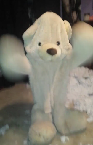 What Happens After People Rip the Stuffing Out of Giant Teddy Bears is ...