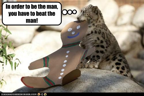 The Gingerbread Man - Animal Comedy - Animal Comedy, funny animals ...