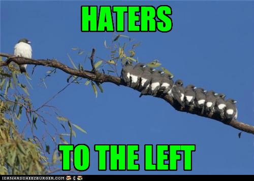 I'm Branching Out on My Own - Animal Comedy - Animal Comedy, funny ...