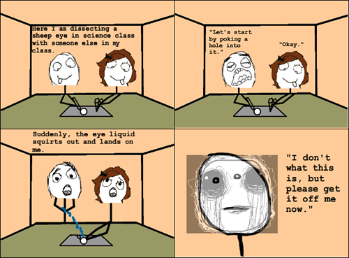 Rage Comics - school - Page 5 - Rage Comics - rage comics - Cheezburger