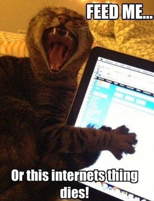 Lolcats - internet - Page 2 - LOL at Funny Cat Memes - Funny cat ...