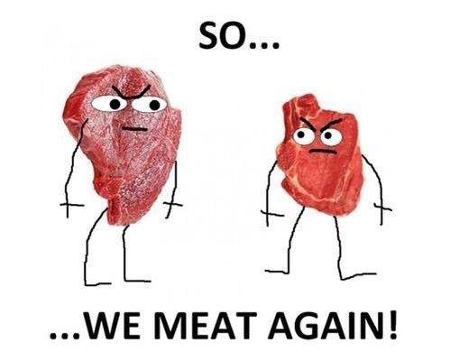Puns - meat - Funny Puns - Pun Pictures - Cheezburger