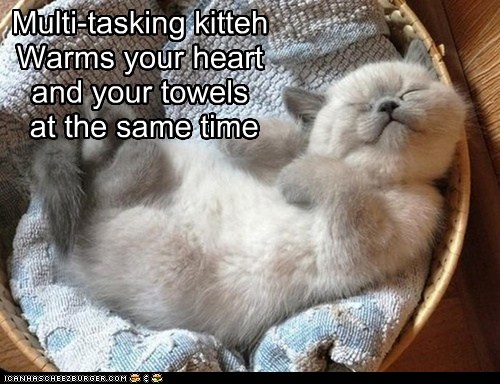 Multi-Tasking Kitteh - Lolcats - lol | cat memes | funny cats | funny ...