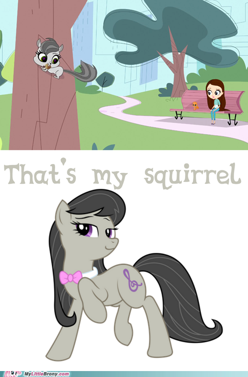 Insert Squirrel Related Music Pun Here - My Little Brony - my little ...