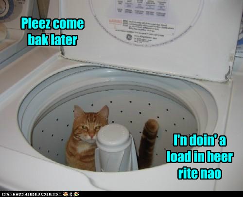 Lolcats - laundry - Page 2 - LOL at Funny Cat Memes - Funny cat ...