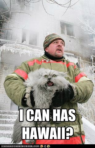 Enough of This Ice Nonsense - Lolcats - lol | cat memes | funny cats ...