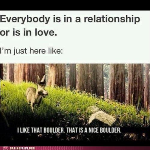 Dating Fails - donkey - Dating FAILs & WINs | Funny Memes - dating ...