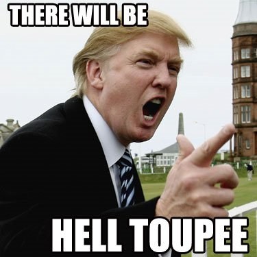 Puns - toupee - Funny Puns - Pun Pictures - Cheezburger