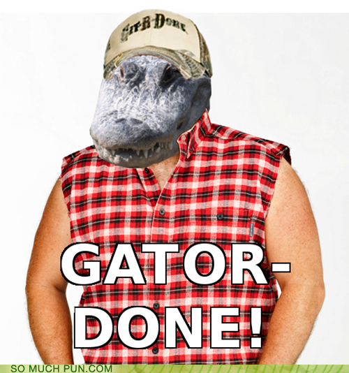 Puns - gator - Funny Puns - Pun Pictures - Cheezburger
