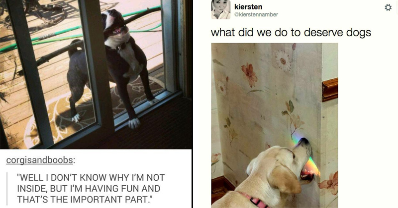 Kiersten Memes Being Stupid In Missourah!!!