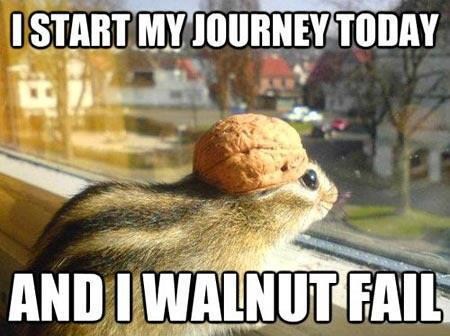 Puns - chipmunk - Funny Puns - Pun Pictures - Cheezburger