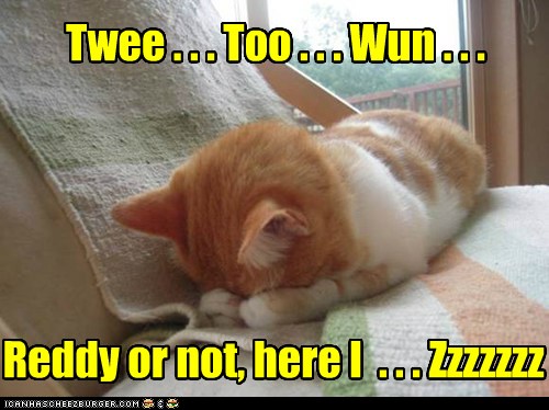 Lolcats - sleep - Page 5 - LOL at Funny Cat Memes - Funny cat pictures ...