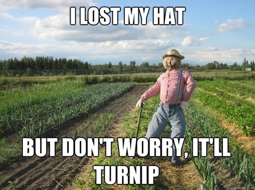 Puns - turnip - Funny Puns - Pun Pictures - Cheezburger