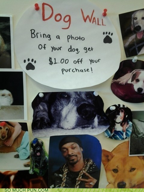 Puns - snoop dogg - Funny Puns - Pun Pictures - Cheezburger