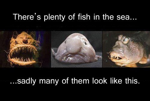 Memebase - fish in the sea - All Your Memes In Our Base - Funny Memes ...
