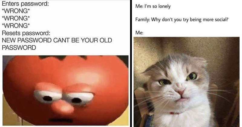 24 Rando Memes To Put Some Sass In Your Day - Memebase - Funny Memes