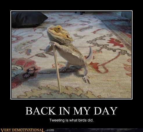 One Old Lizard - Very Demotivational - Demotivational Posters | Very ...