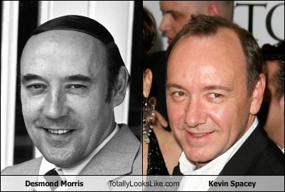Totally Looks Like - kevin spacey - Cheezburger