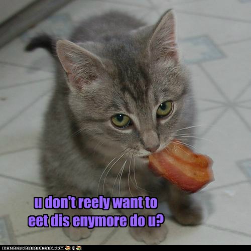 Lolcats - bacon - Page 2 - LOL at Funny Cat Memes - Funny cat pictures ...