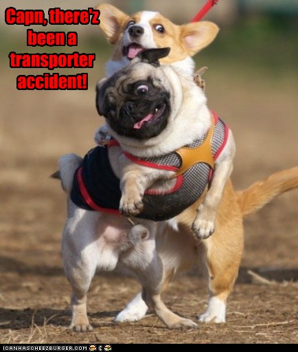 I Has A Hotdog - scottie - Funny Dog Pictures | Dog Memes | Puppy ...