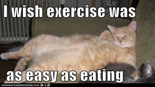 Lolcats - chubby - LOL at Funny Cat Memes - Funny cat pictures with ...