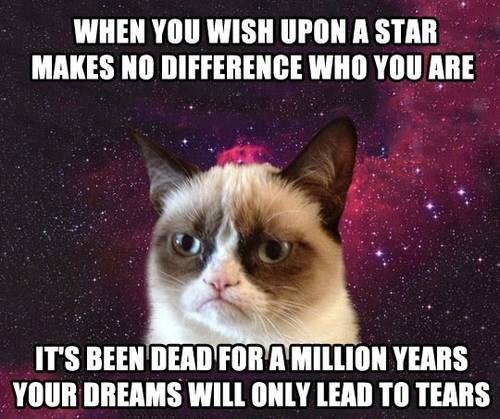 Memebase - Grumpy Cat - Page 5 - All Your Memes In Our Base - Funny ...