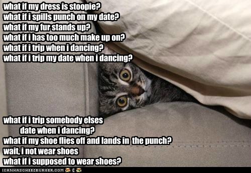 Prom Worries - Lolcats - lol | cat memes | funny cats | funny cat ...